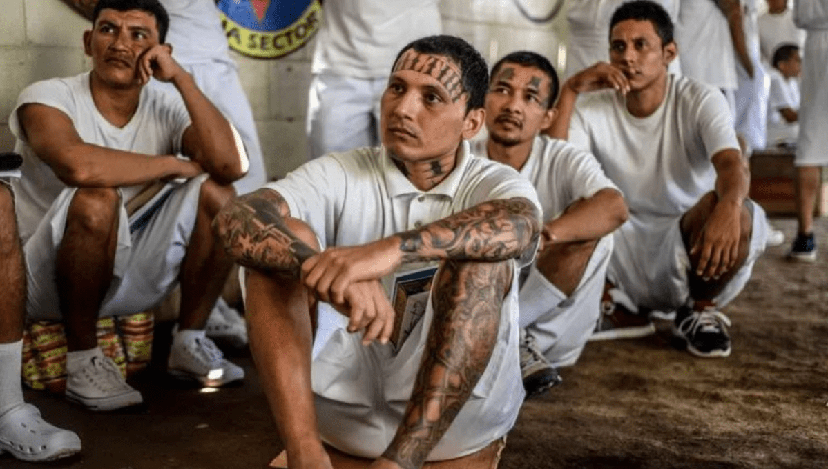 Gangs are an American problem too – The Bulldogs' Journal