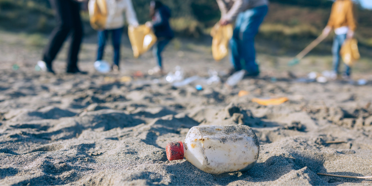 Beach Cleanups and why they are so important – The Bulldogs' Journal